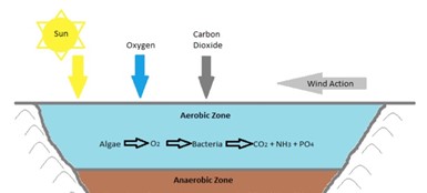 Geomembranes Aid in the Success of Lagoon Wastewater Treatment Systems